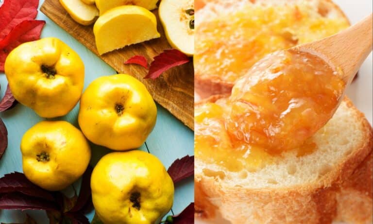 Marmelada é feita de que fruta? Faz bem para saúde? Descubra!