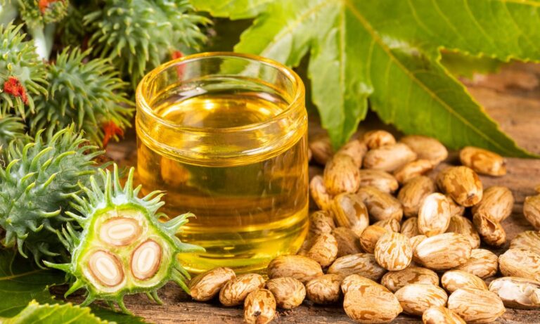 Óleo de Rícino: entenda para que serve e como usar corretamente