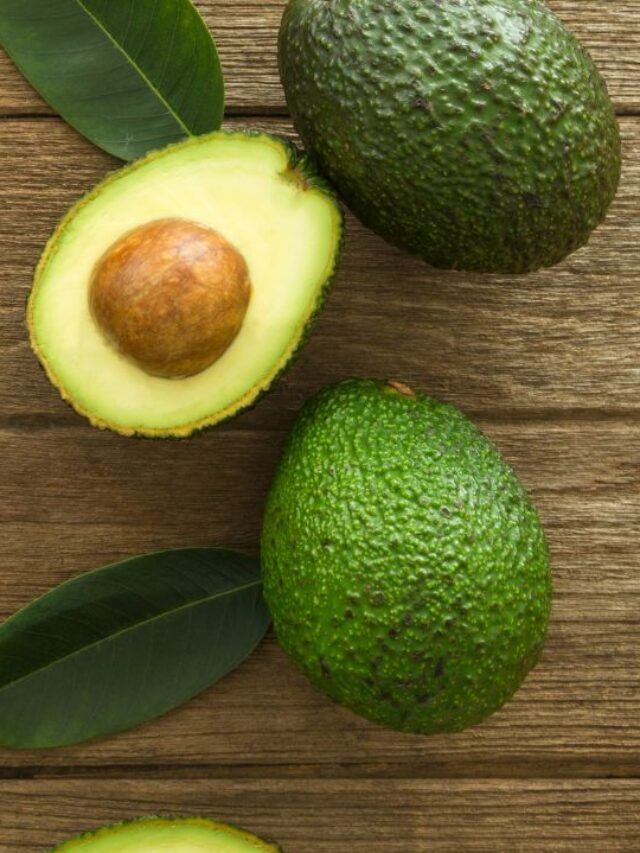 Dicas imperdíveis sobre o abacate! - SaúdeLab
